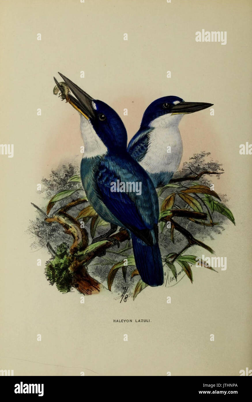 Map of gerrard hi-res stock photography and images - Alamy