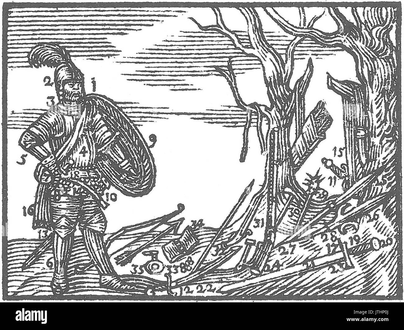 OrbisPictus b 282 Stock Photo - Alamy