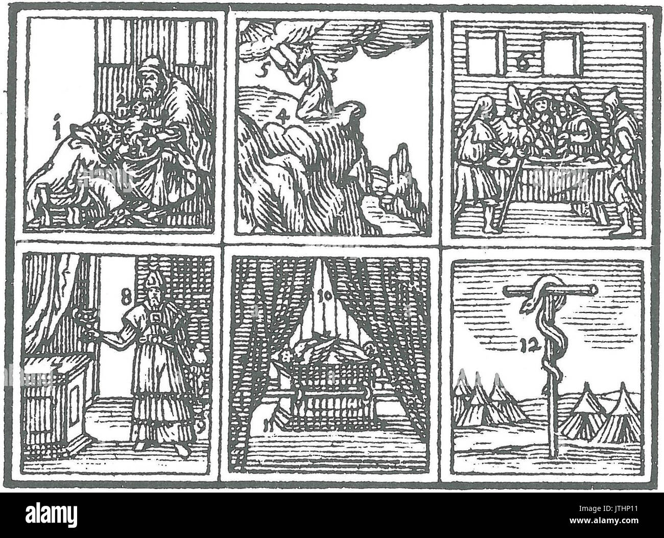 OrbisPictus b 296 Stock Photo - Alamy