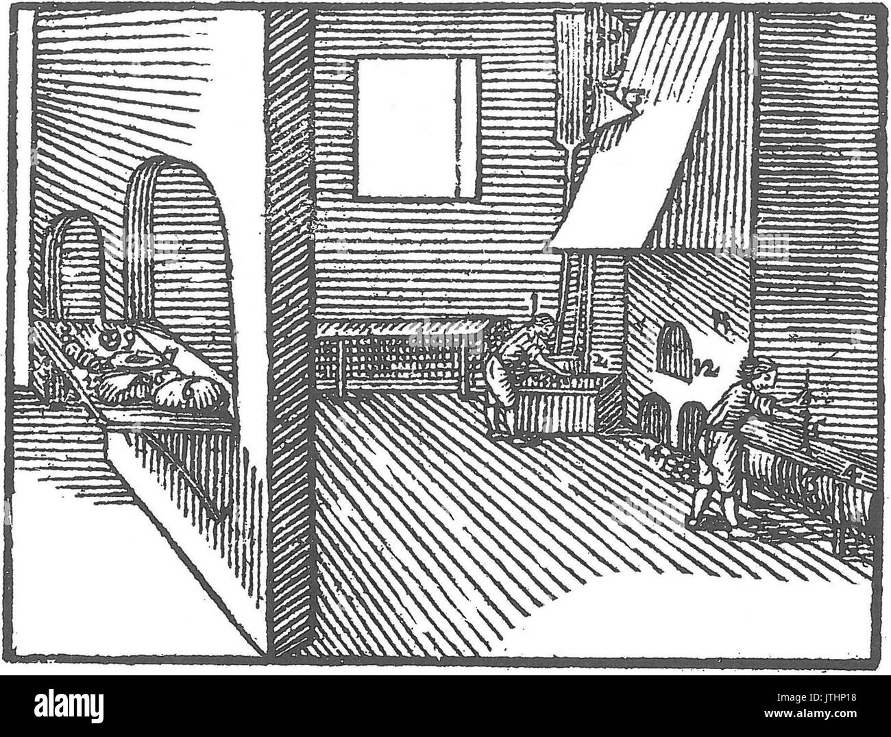 OrbisPictus b 102 Stock Photo - Alamy