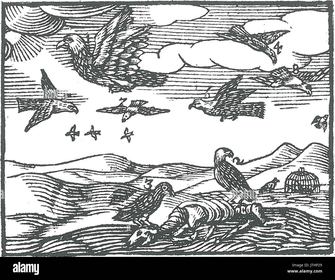 OrbisPictus b 048 Stock Photo - Alamy