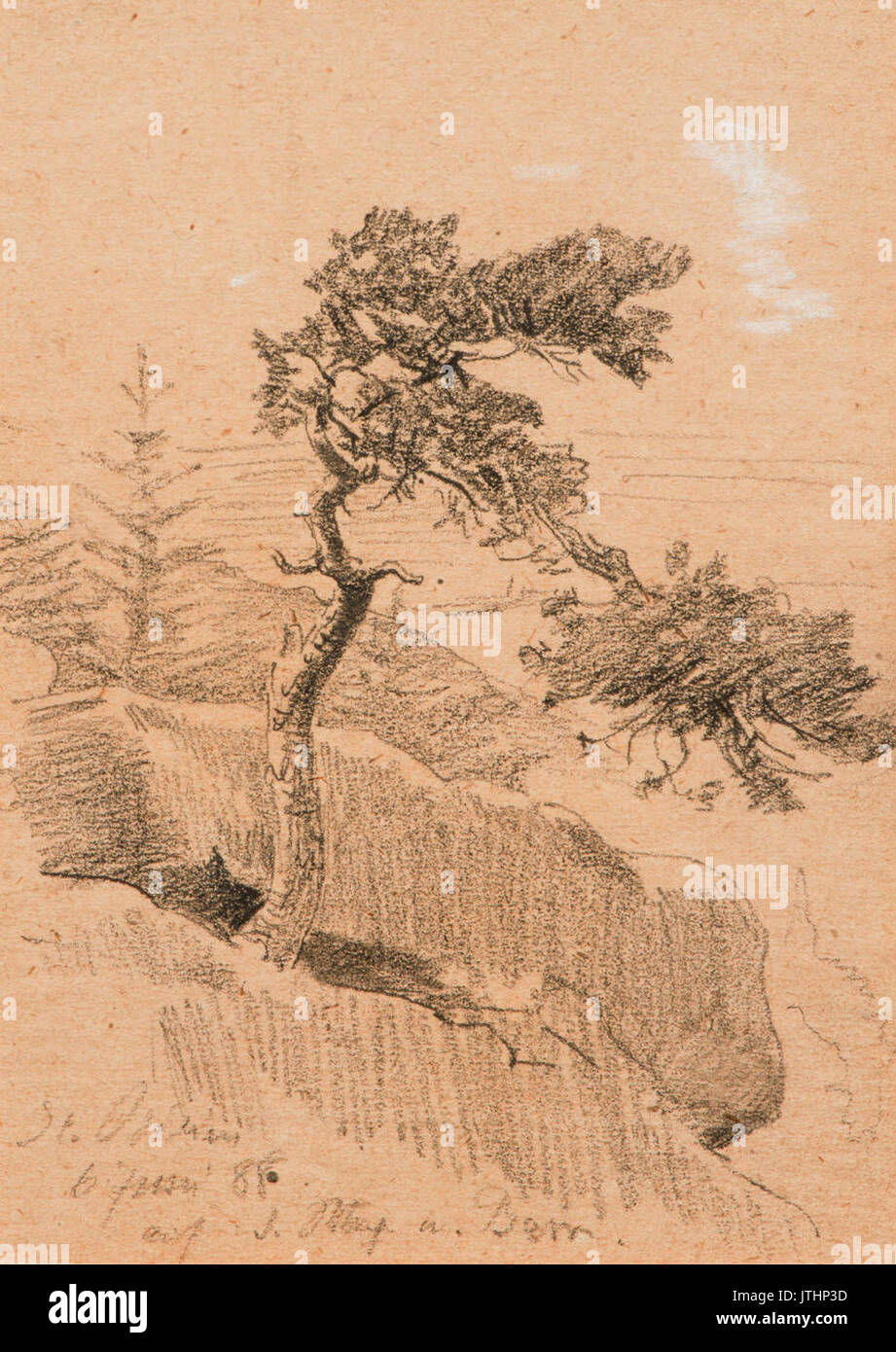 Wilhelm hasemann hi-res stock photography and images - Alamy