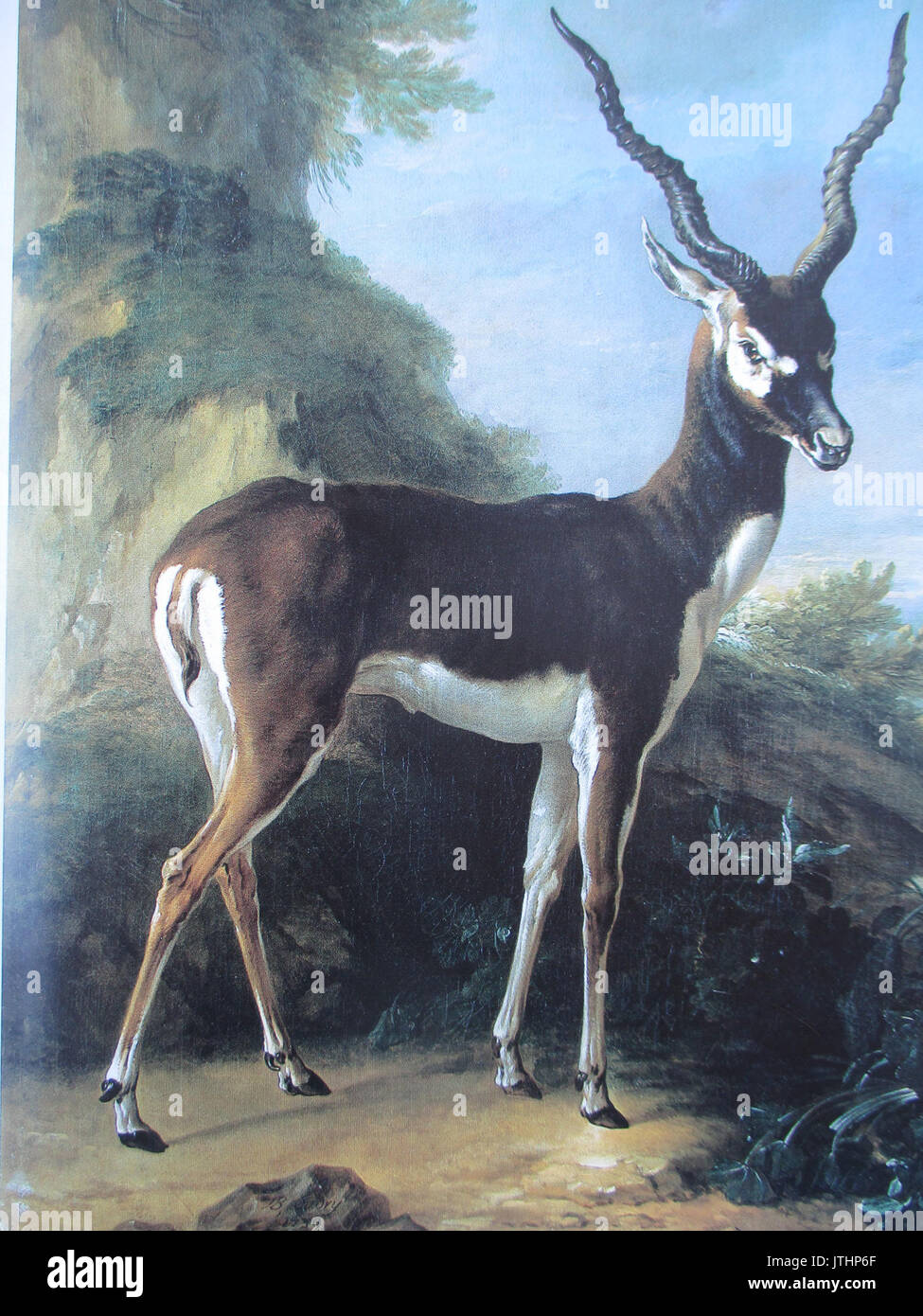 Oudrys hi-res stock photography and images - Alamy