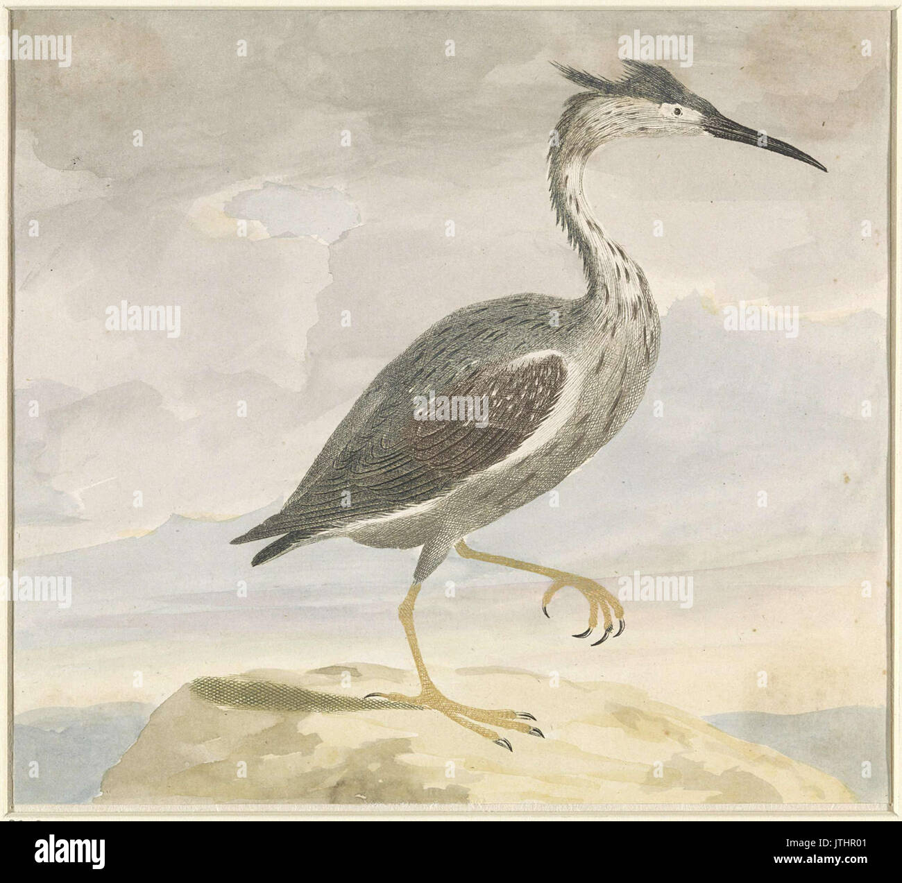 Reiger hi-res stock photography and images - Alamy