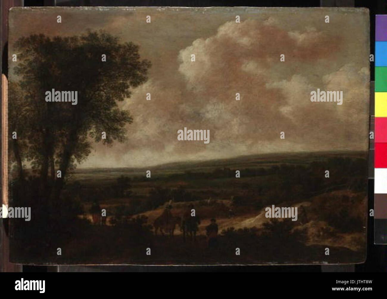 Pieter Molyn High Resolution Stock Photography and Images - Alamy