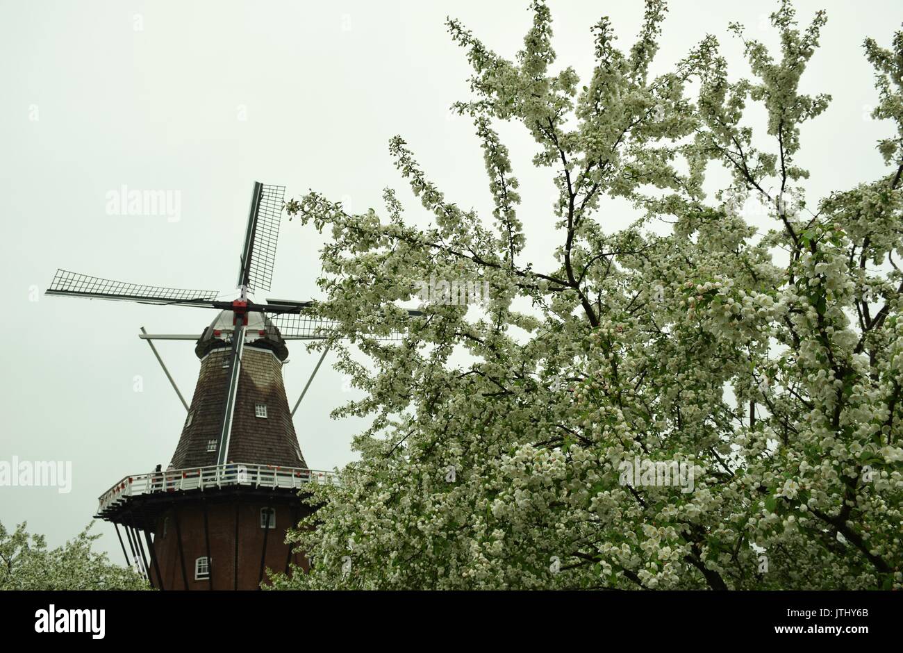 Orchard fest hi-res stock photography and images - Alamy
