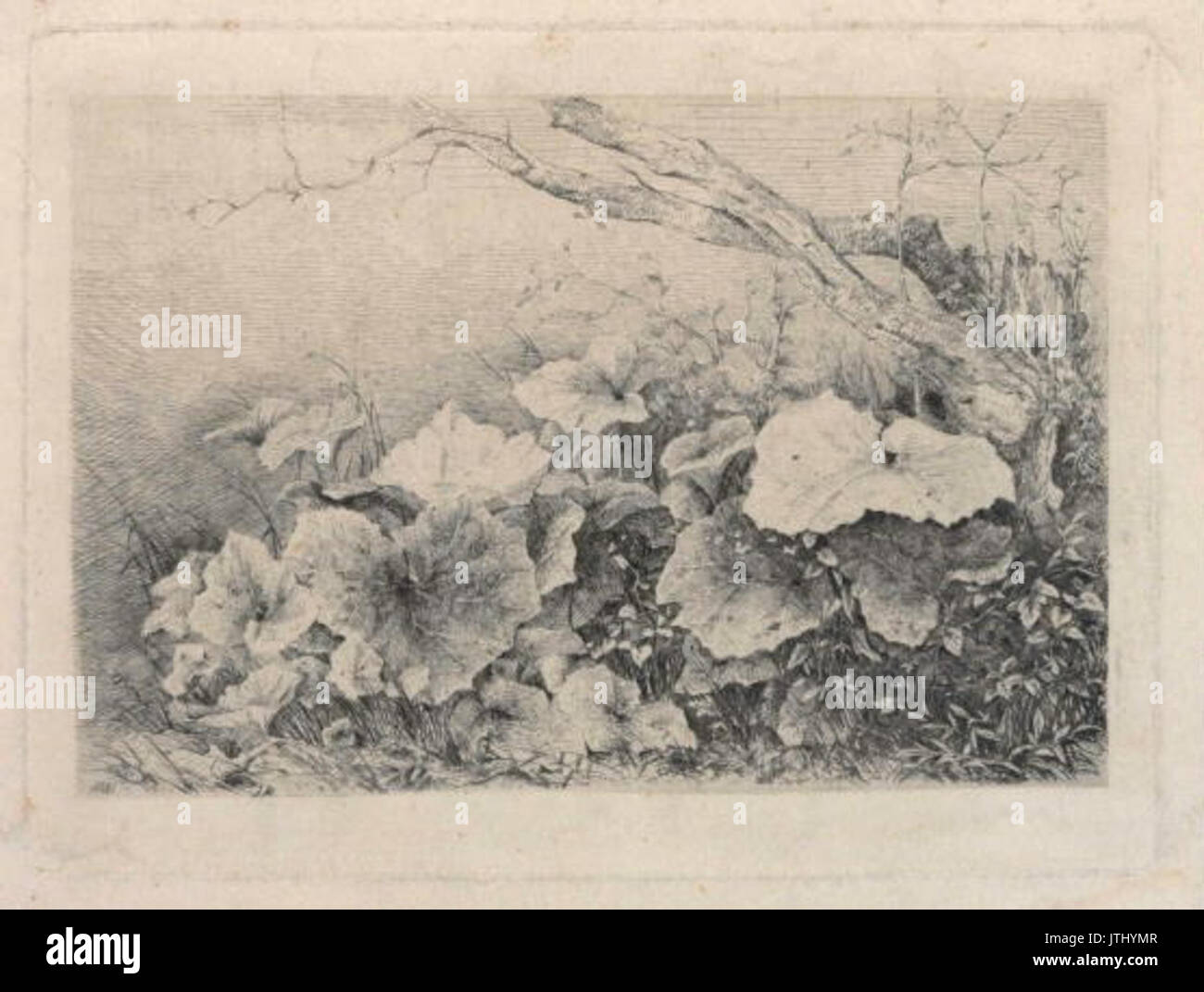 1832 1899 hi-res stock photography and images - Alamy