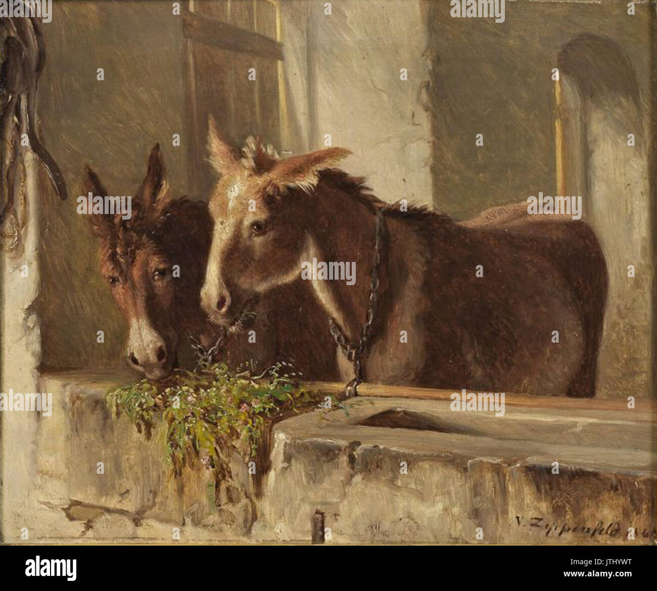 Zeppenfeld hi-res stock photography and images - Alamy