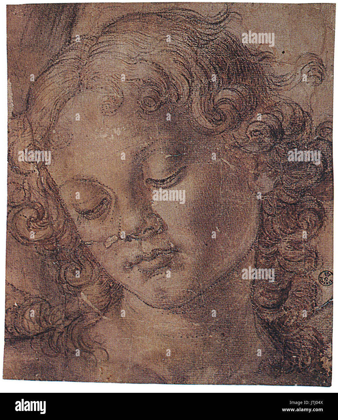 Testa di fanciullo che guarda verso il basso (1470 1475 circa Stock ...