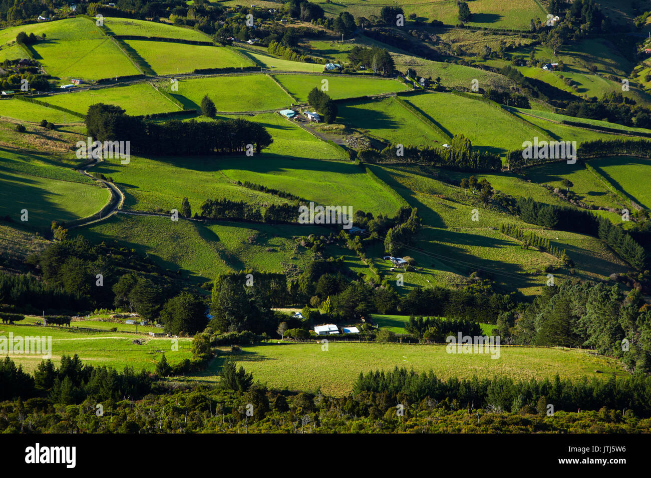 Farmland at Upper Junction, Dunedin, South Island, New Zealand Stock ...