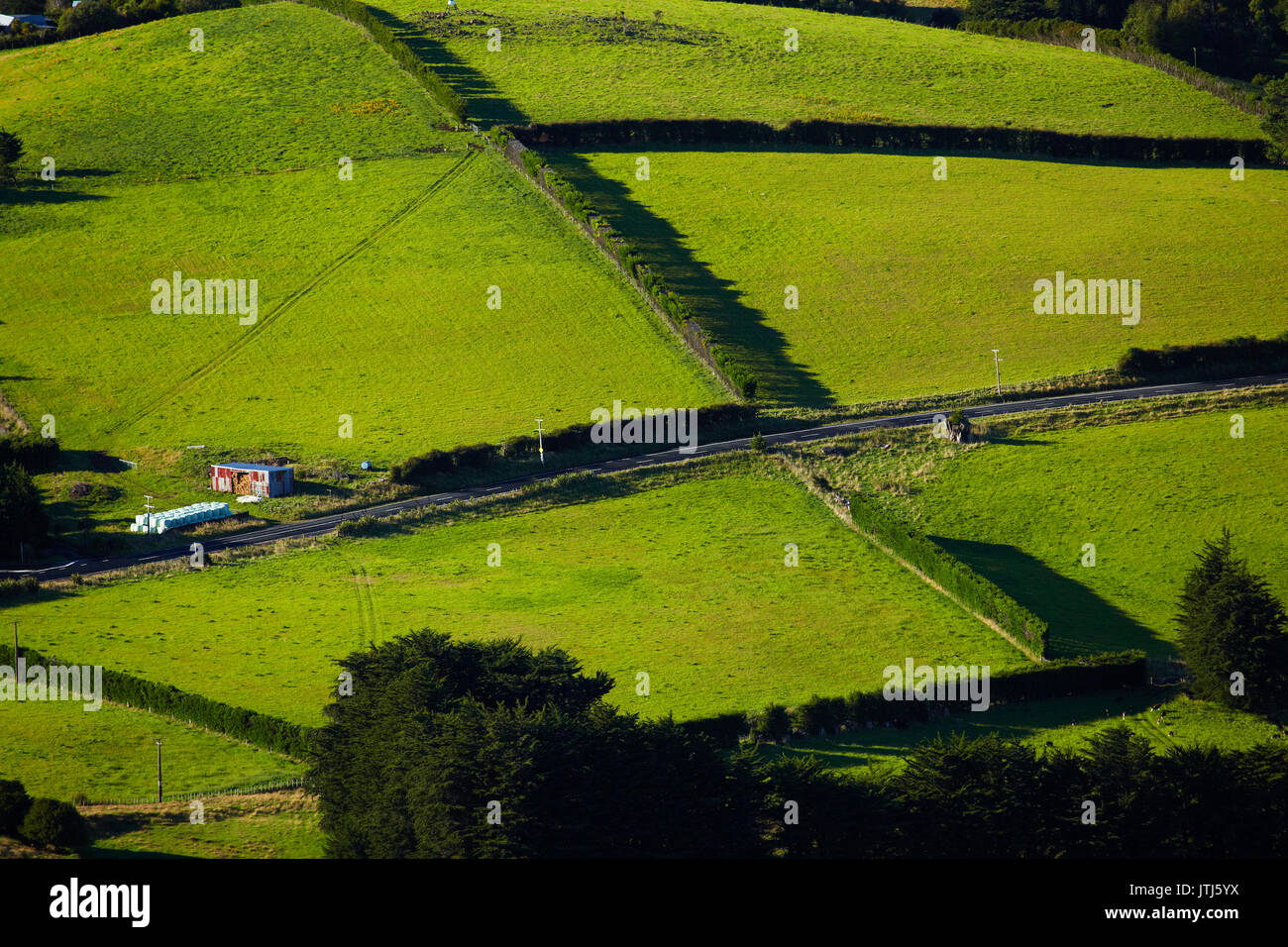 Farmland at Upper Junction, Dunedin, South Island, New Zealand Stock ...