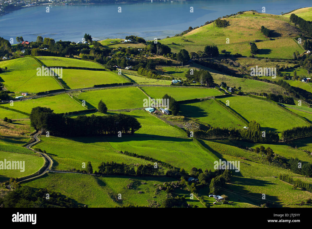 Farmland at Upper Junction, Dunedin, South Island, New Zealand Stock ...