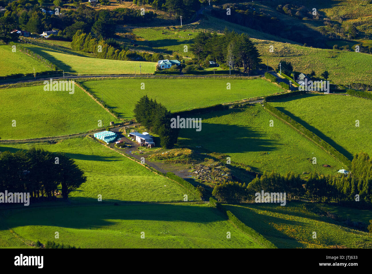 Farmland at Upper Junction, Dunedin, South Island, New Zealand Stock ...