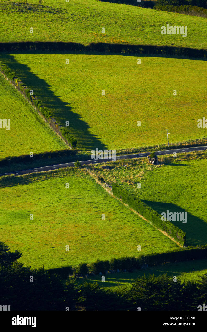 Farmland at Upper Junction, Dunedin, South Island, New Zealand Stock ...
