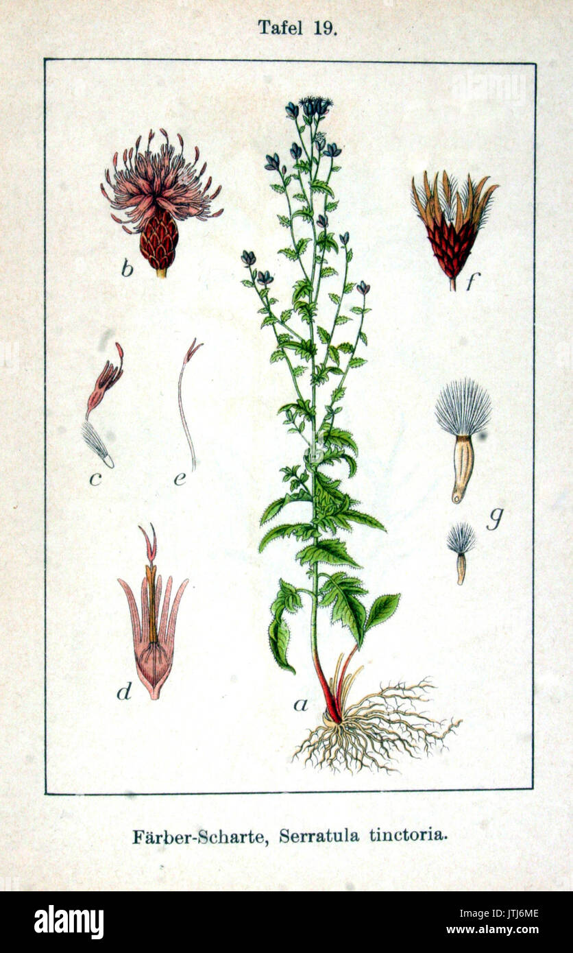 Serr hi-res stock photography and images - Alamy