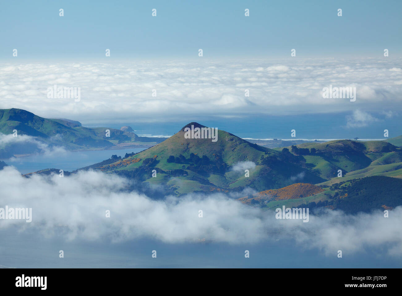 Dunedin harbour n hi-res stock photography and images - Alamy
