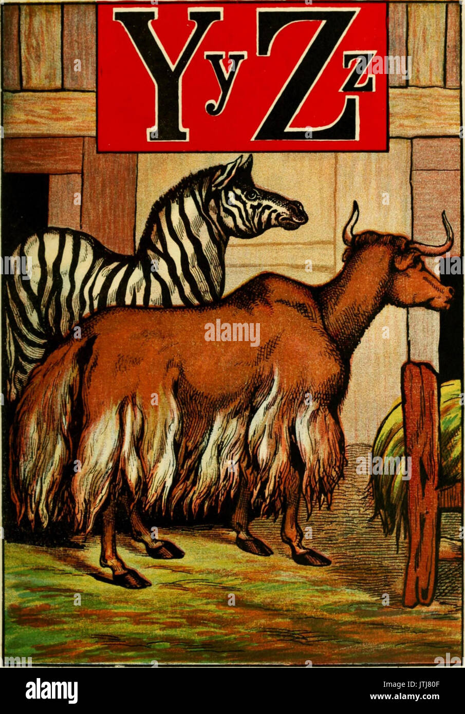 Ark alphabet hi-res stock photography and images - Alamy