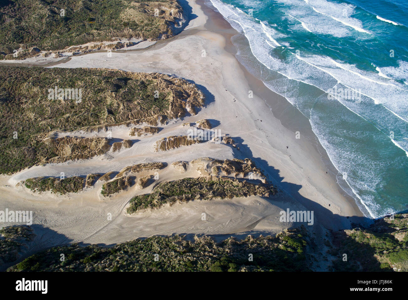 Sandfly new zealand hi-res stock photography and images - Alamy