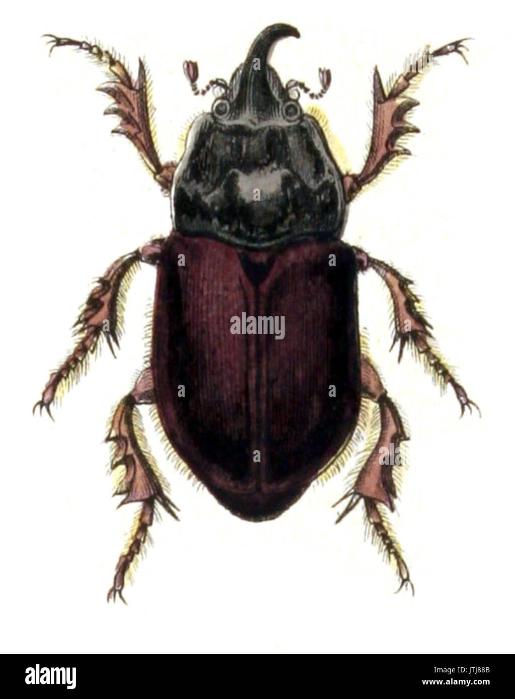 17 12 17 Cut Out Stock Images & Pictures - Alamy