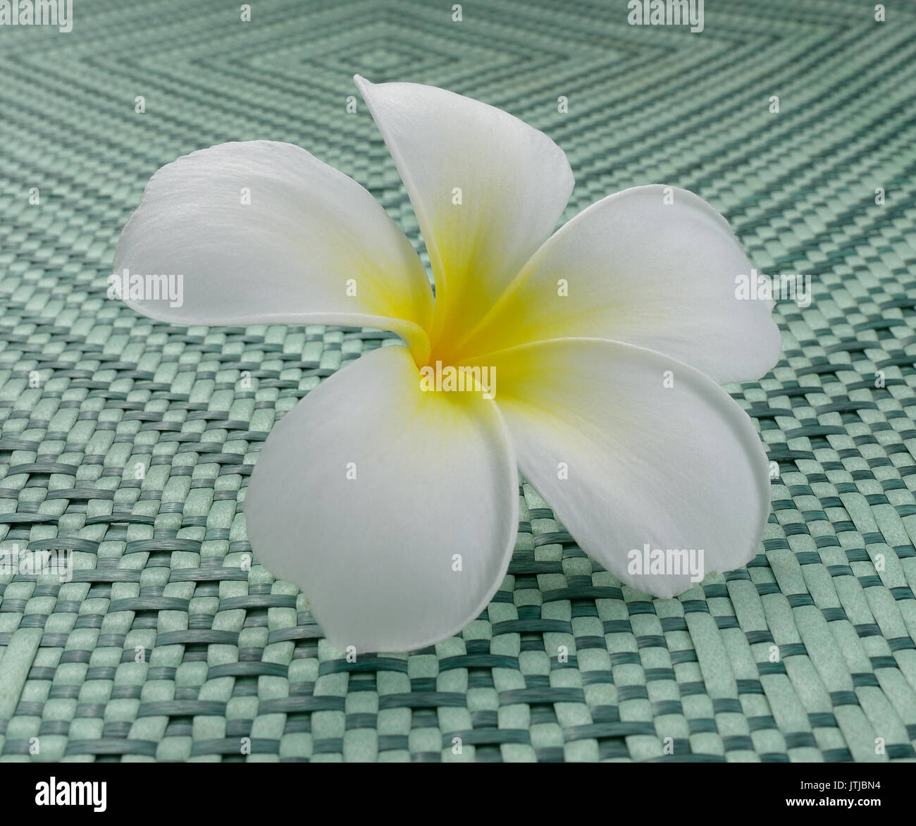 Frangipane flower hi-res stock photography and images - Alamy