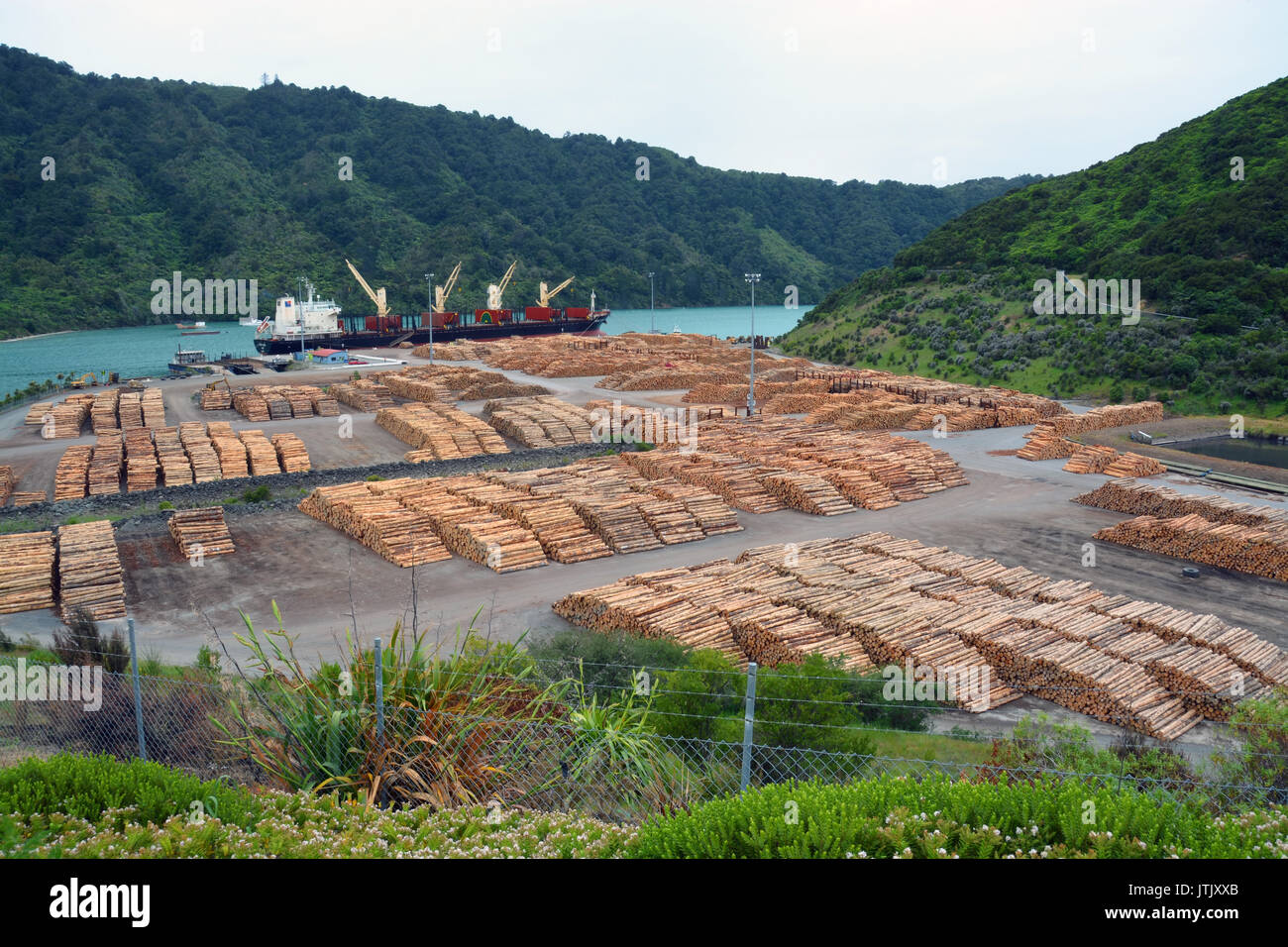 New zealand pine logging hi-res stock photography and images - Alamy