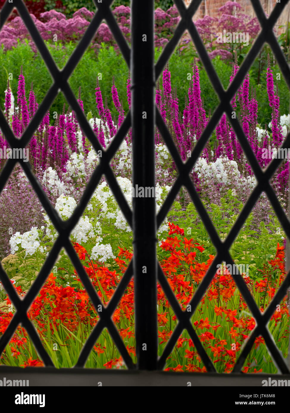 View through lattice window of flowering garden border Stock Photo - Alamy