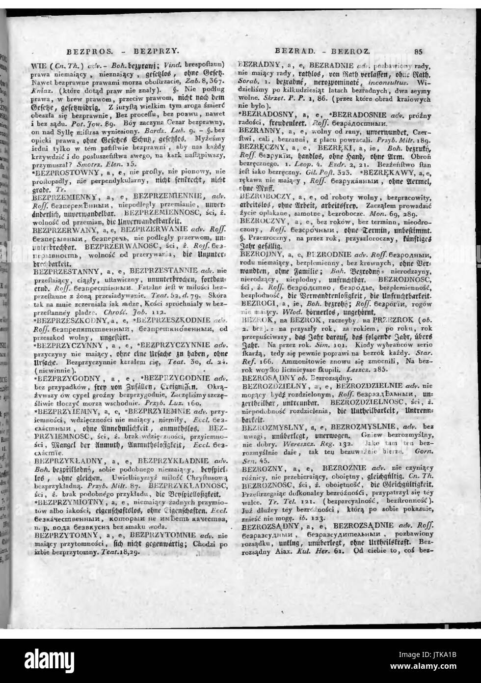 Slownik jezyka polskiego tom 1 085 Stock Photo - Alamy