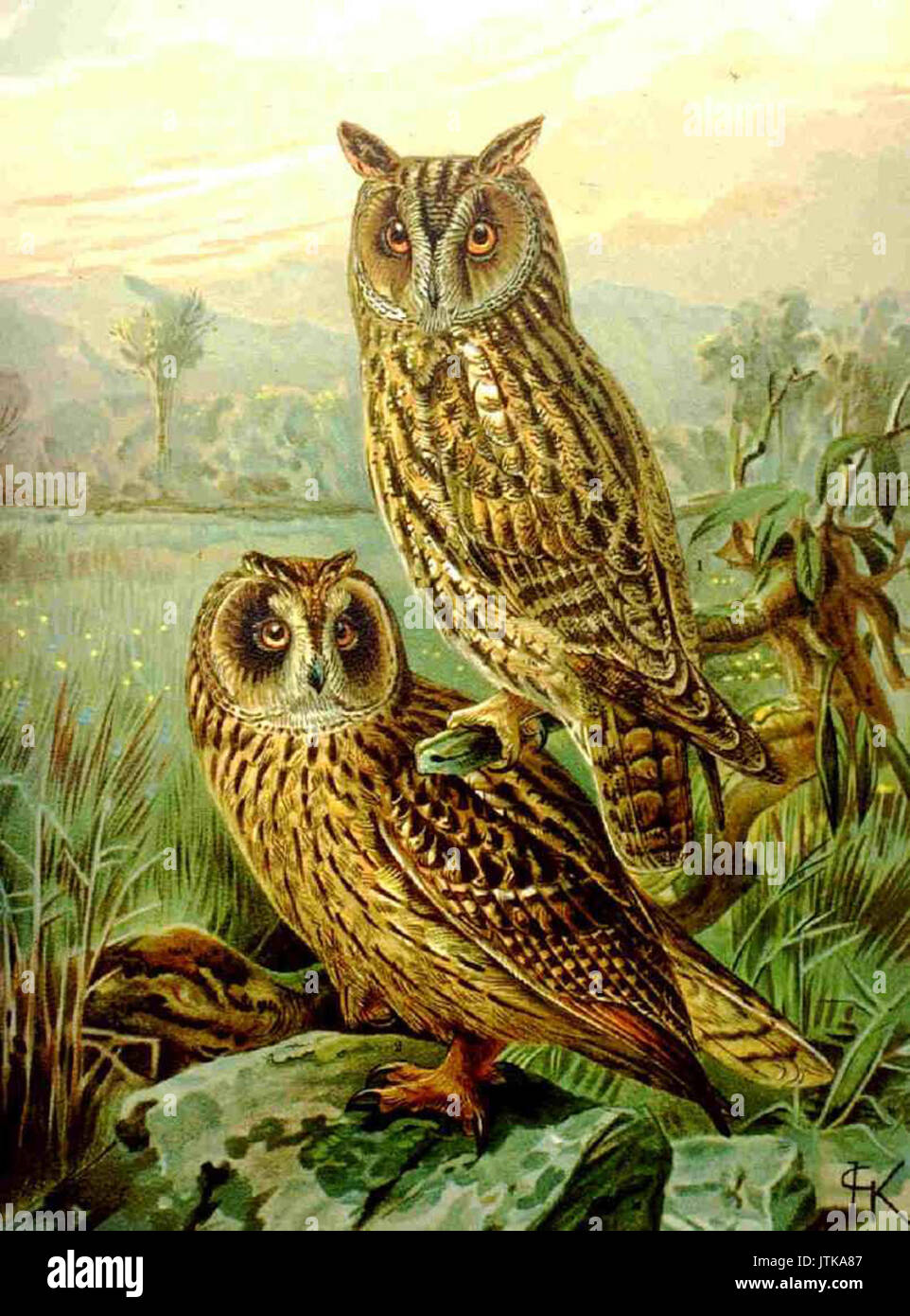 Sowa map hi-res stock photography and images - Alamy