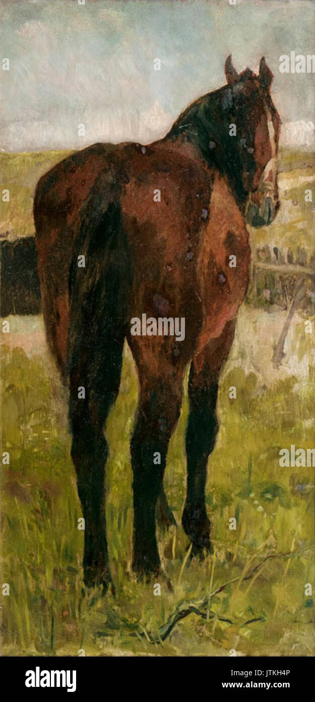 Stehendes pferd hi-res stock photography and images - Alamy