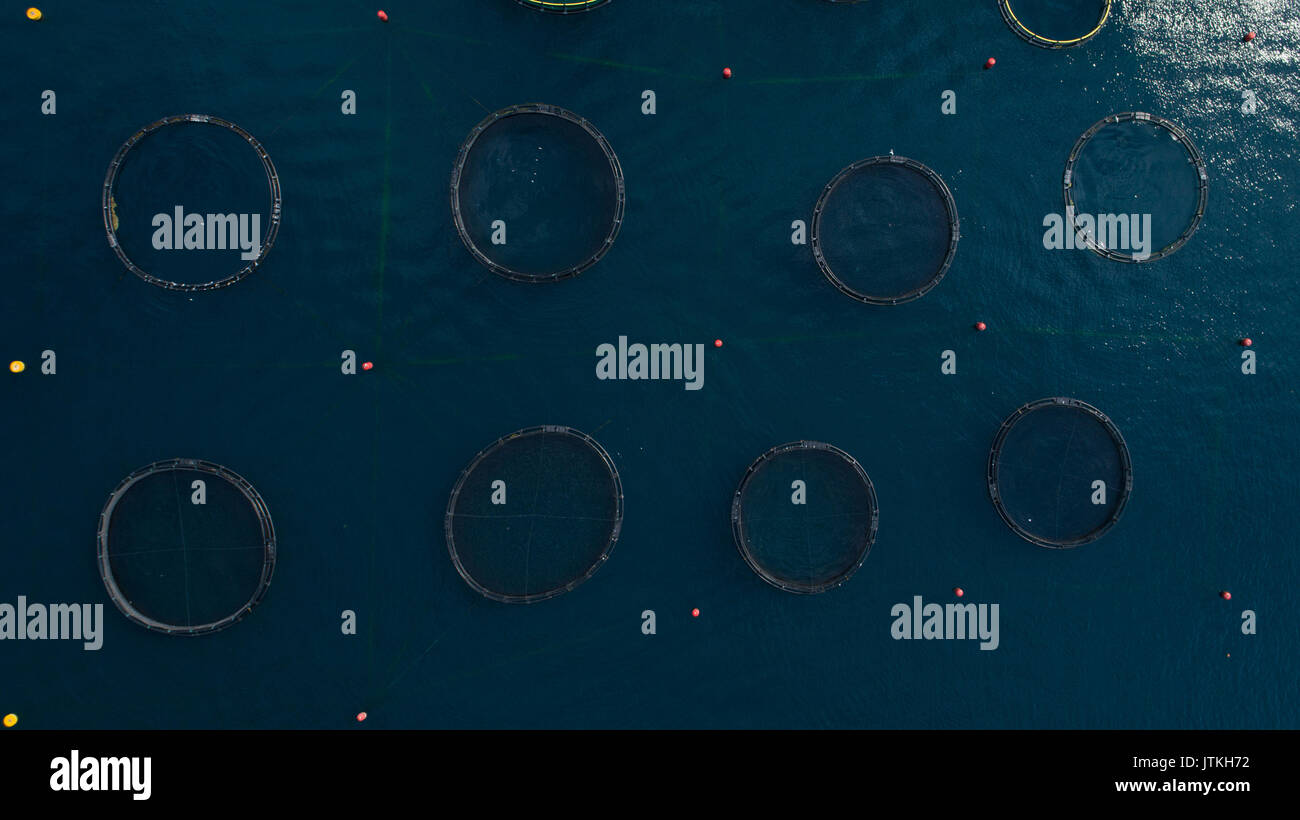 Aquaculture cage fish farming net hi-res stock photography and images ...