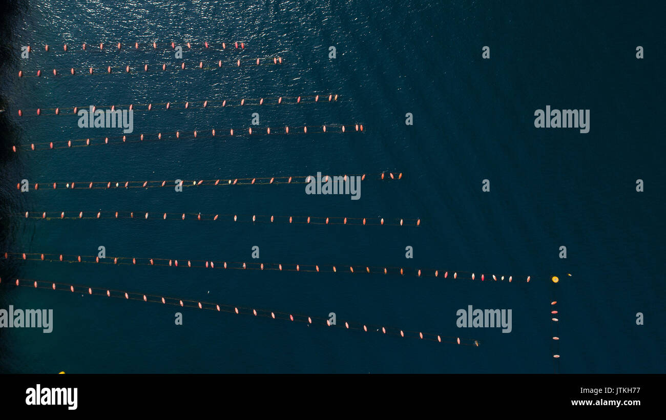 aerial view of mussels farm, Adriatic sea Stock Photo - Alamy