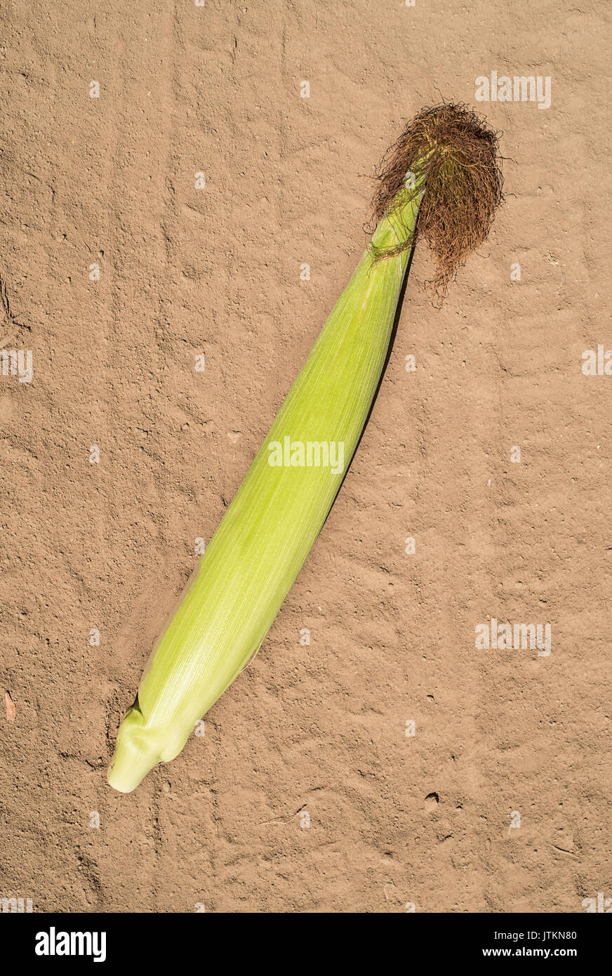 Lost grain hi-res stock photography and images - Alamy