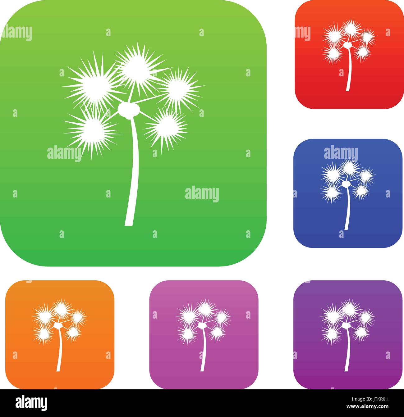 Spiny tropical palm tree set collection Stock Vector Image & Art - Alamy
