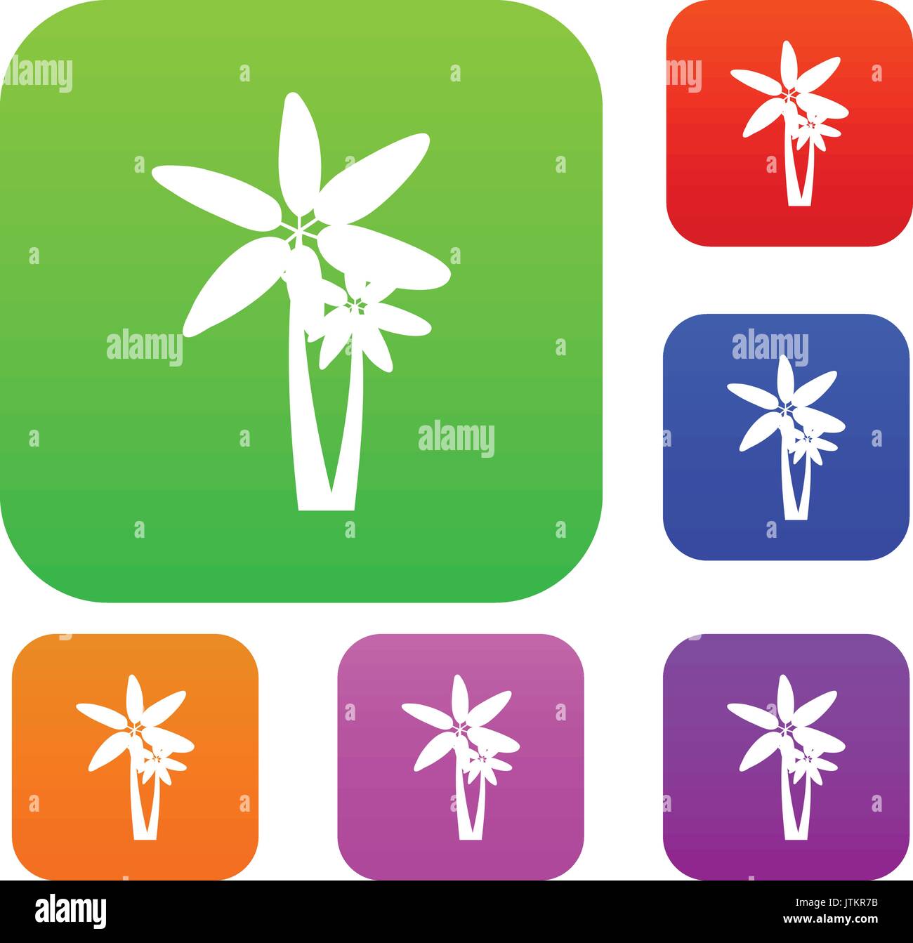 Two palm trees set collection Stock Vector Image & Art - Alamy