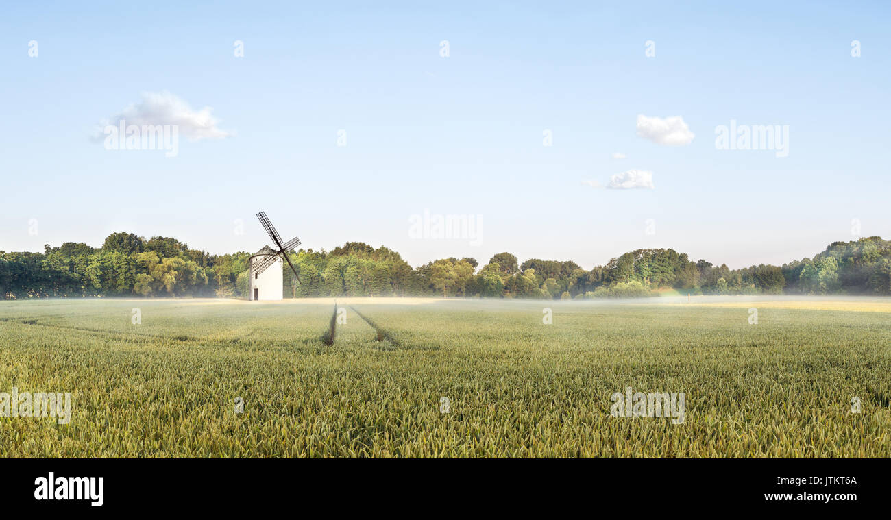 Panorama of a grainfield and a windmill in the morning sun with fog ...