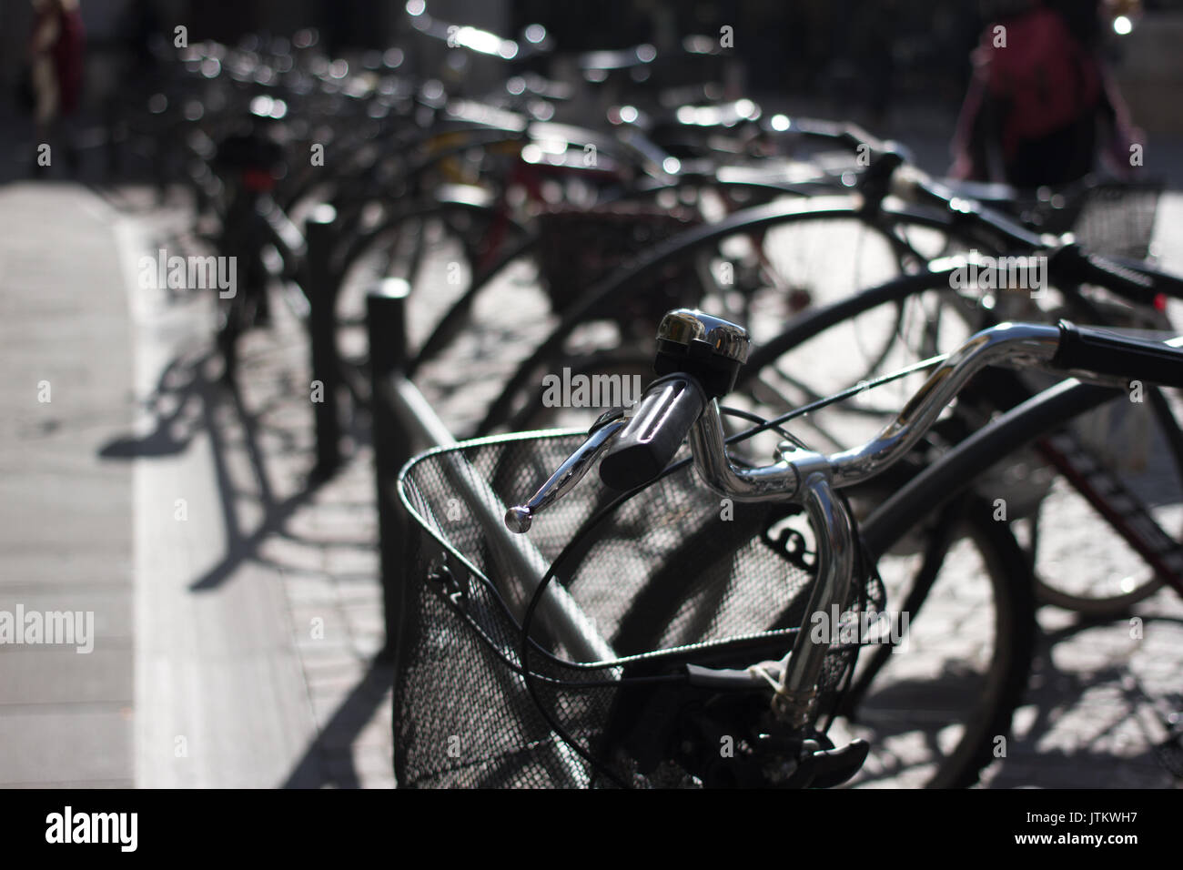 Bicycle parking. Group of bikes. Rental cycle objects in city Stock ...
