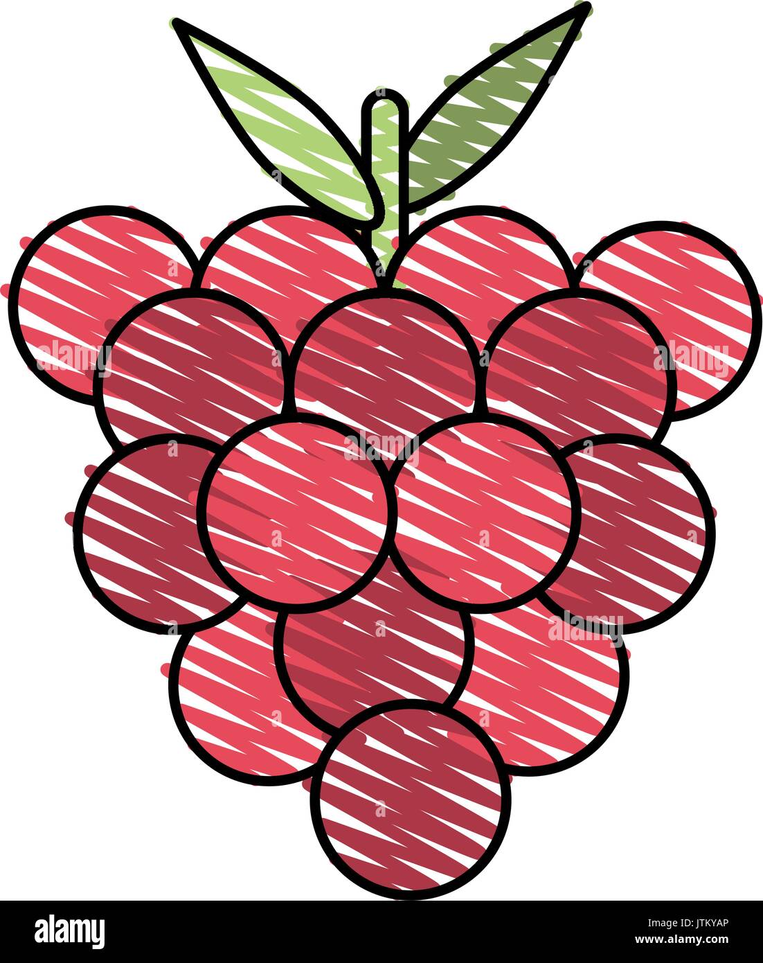 grapes vector illustration Stock Vector Image & Art - Alamy