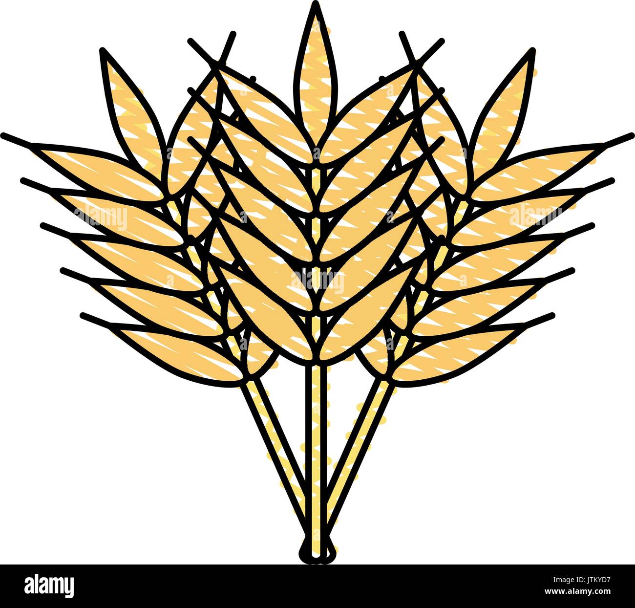 wheat vector illustration Stock Vector Image & Art - Alamy