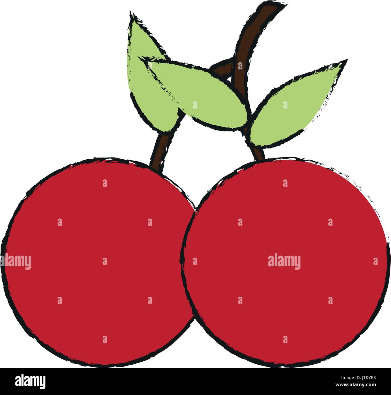 cherries vector illustration Stock Vector Image & Art - Alamy