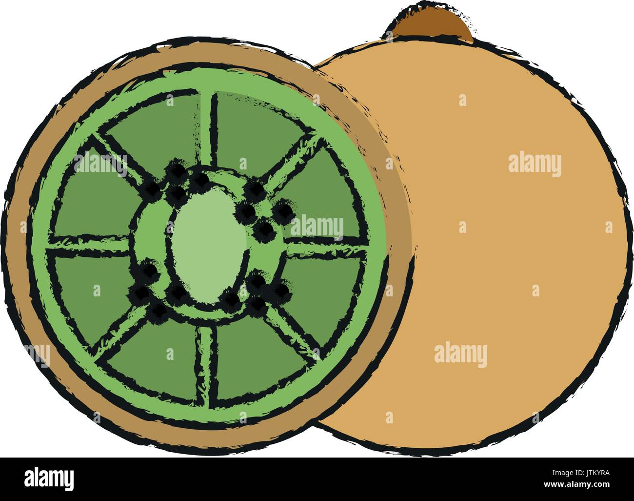 kiwi vector illustration Stock Vector Image & Art - Alamy