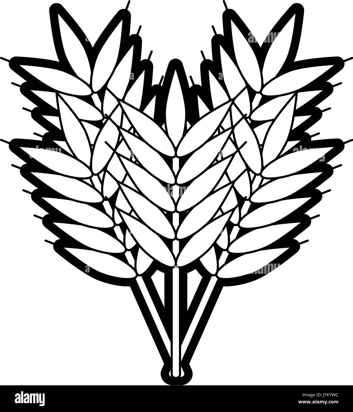 wheat vector illustration Stock Vector Image & Art - Alamy