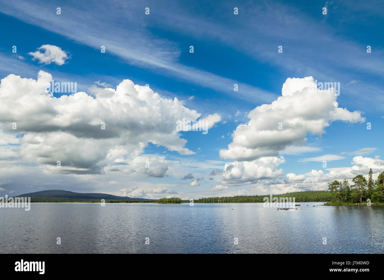 Wooded shore of a large lake. Forests along the coast. Kola Peninsula ...