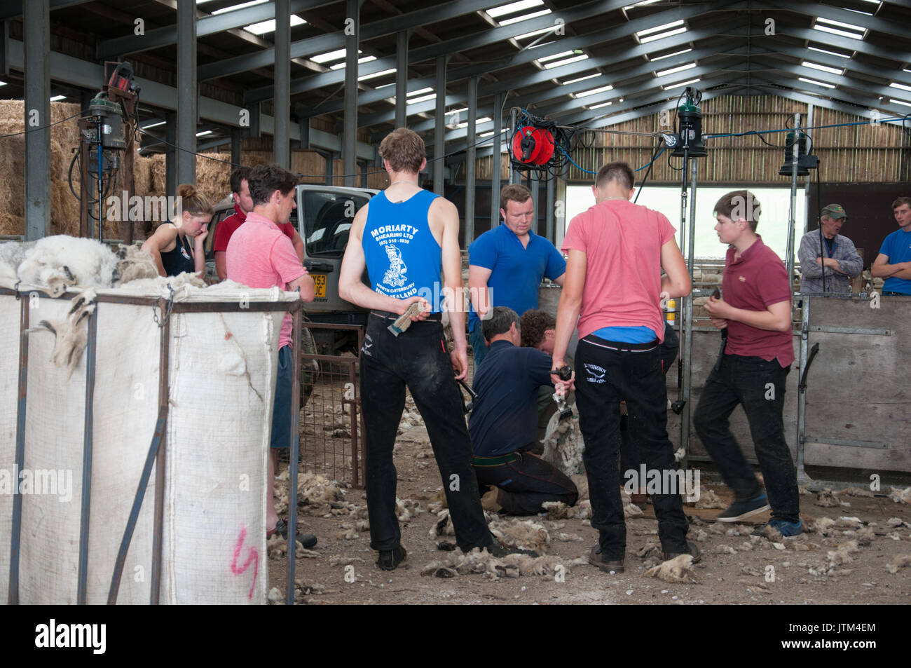 Shear board hi-res stock photography and images - Alamy