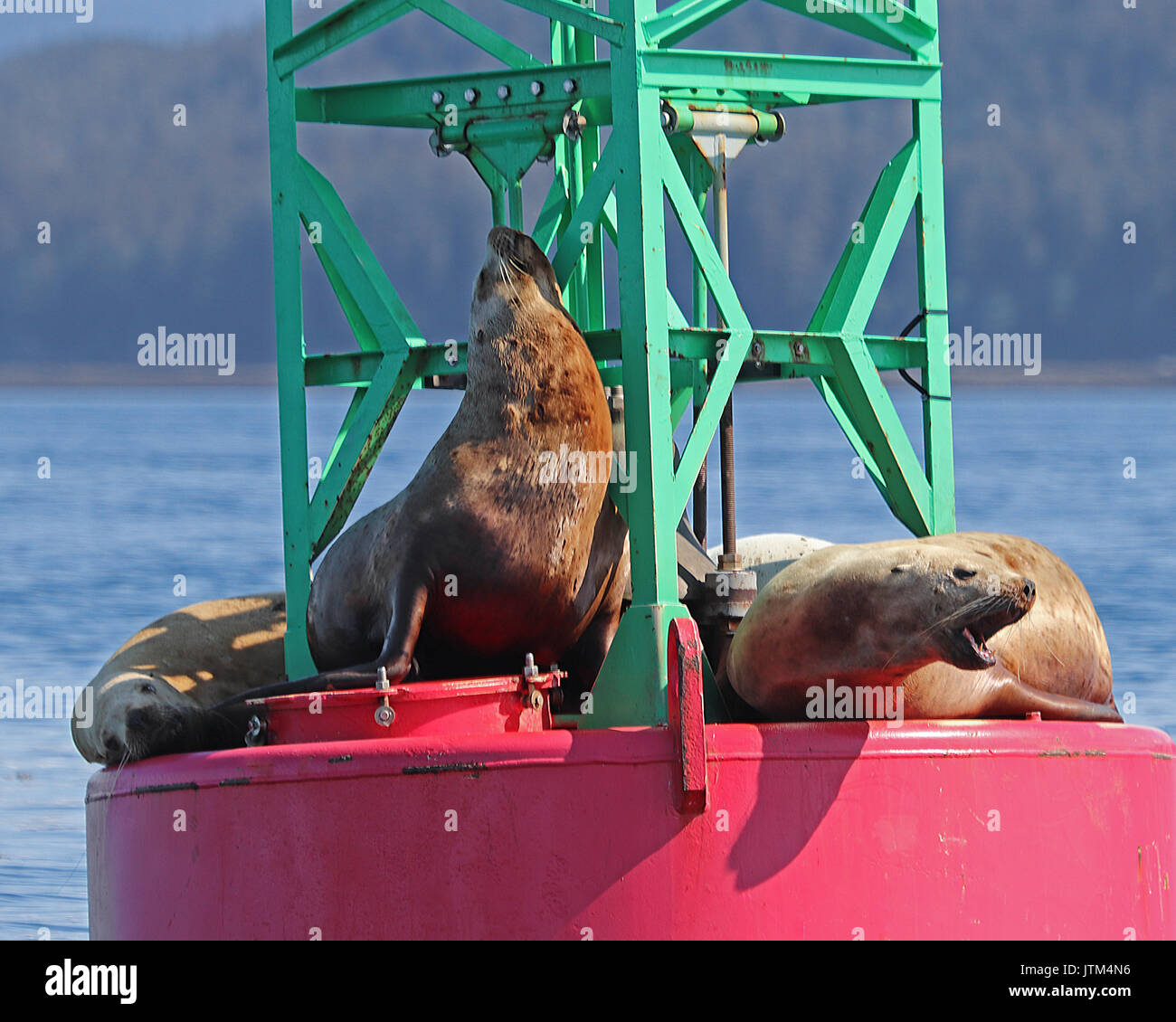 Group of buoy hi-res stock photography and images - Alamy