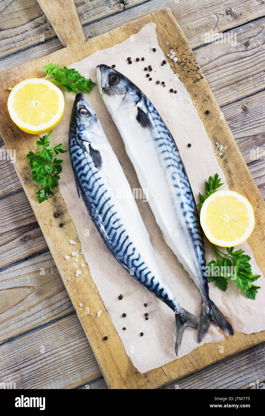 Mackerel omega hi-res stock photography and images - Alamy