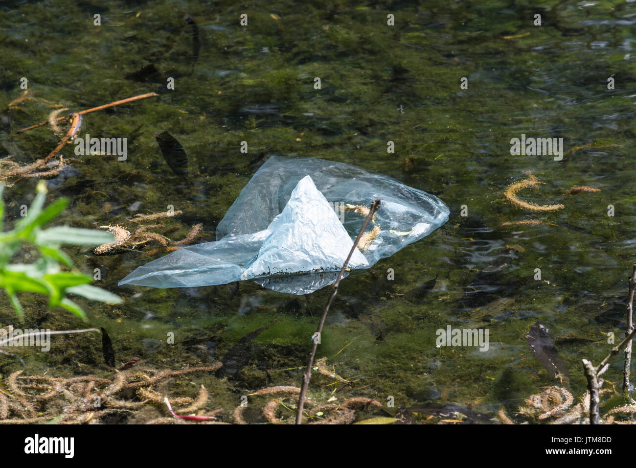 Pollution plastic spread in our seas Stock Photo - Alamy