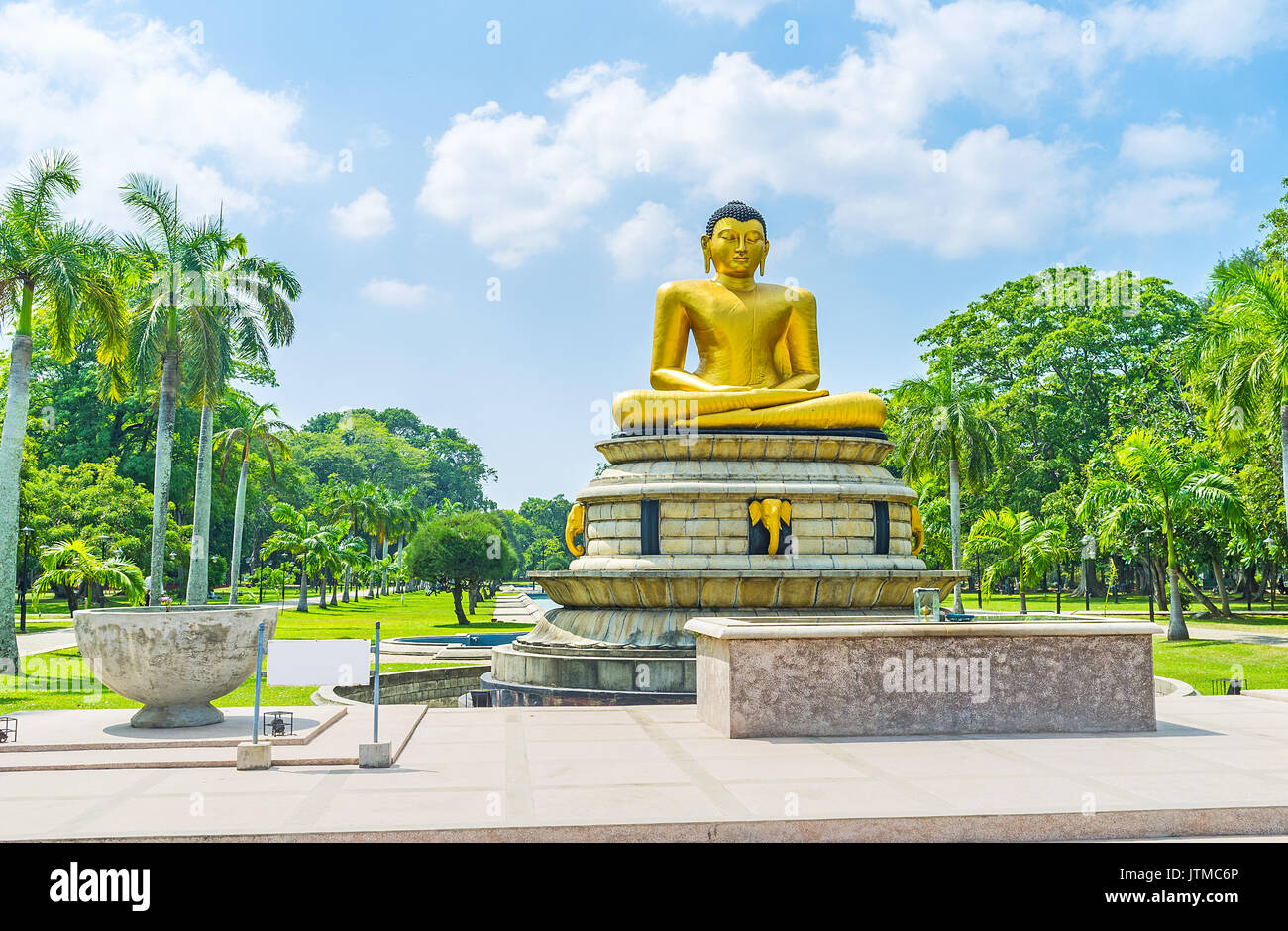The Meditating Buddha statue among the lush green trees of ...