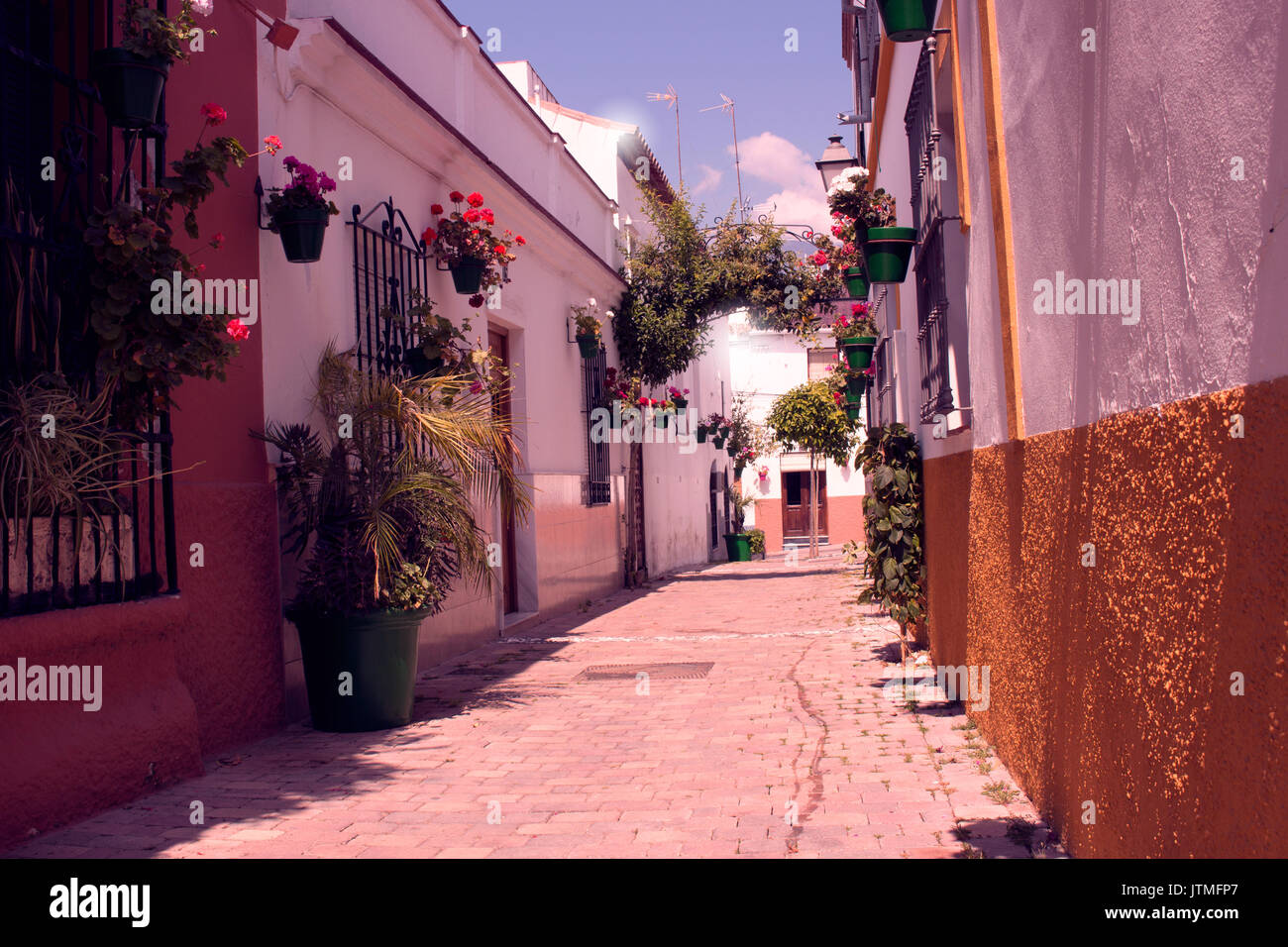 Street. Beautiful Spanish house. Flowers and trees Stock Photo - Alamy