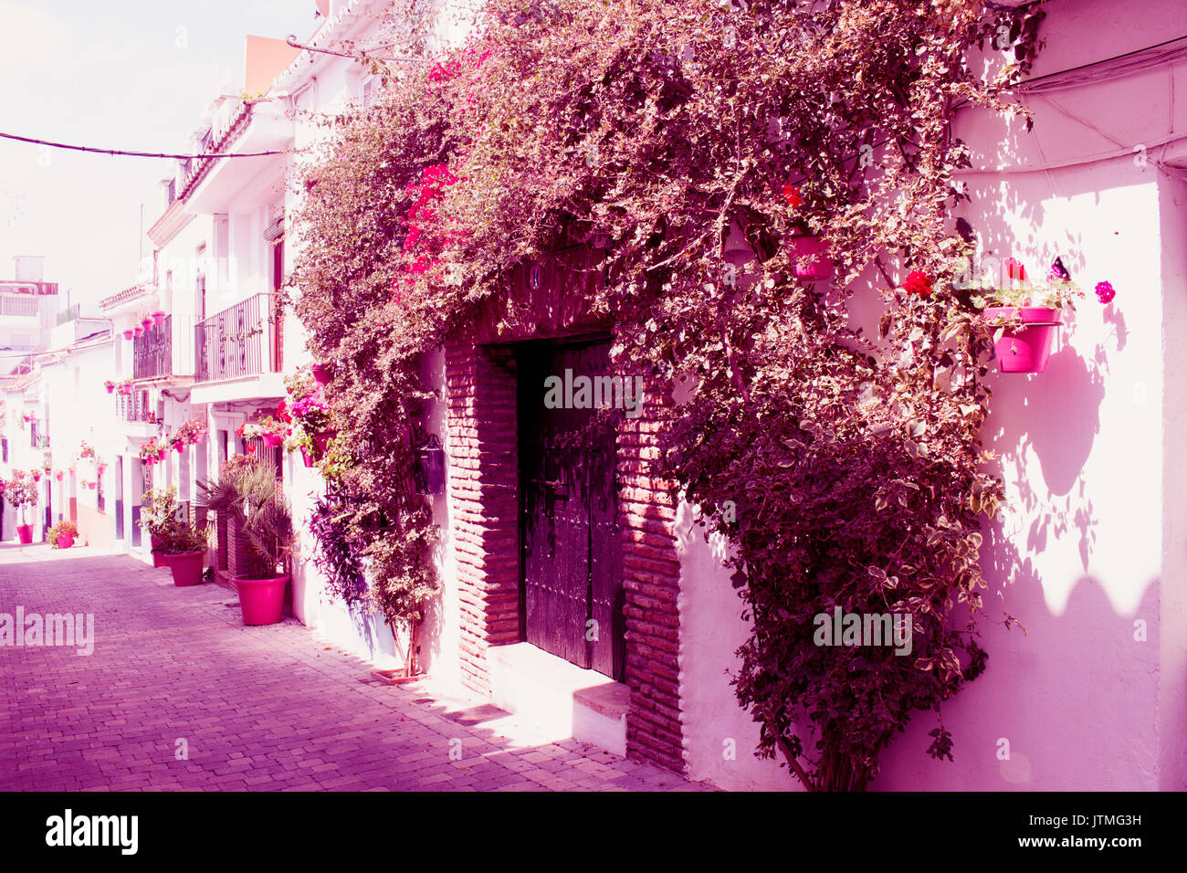 Street. Beautiful Spanish house. Flowers and trees Stock Photo - Alamy
