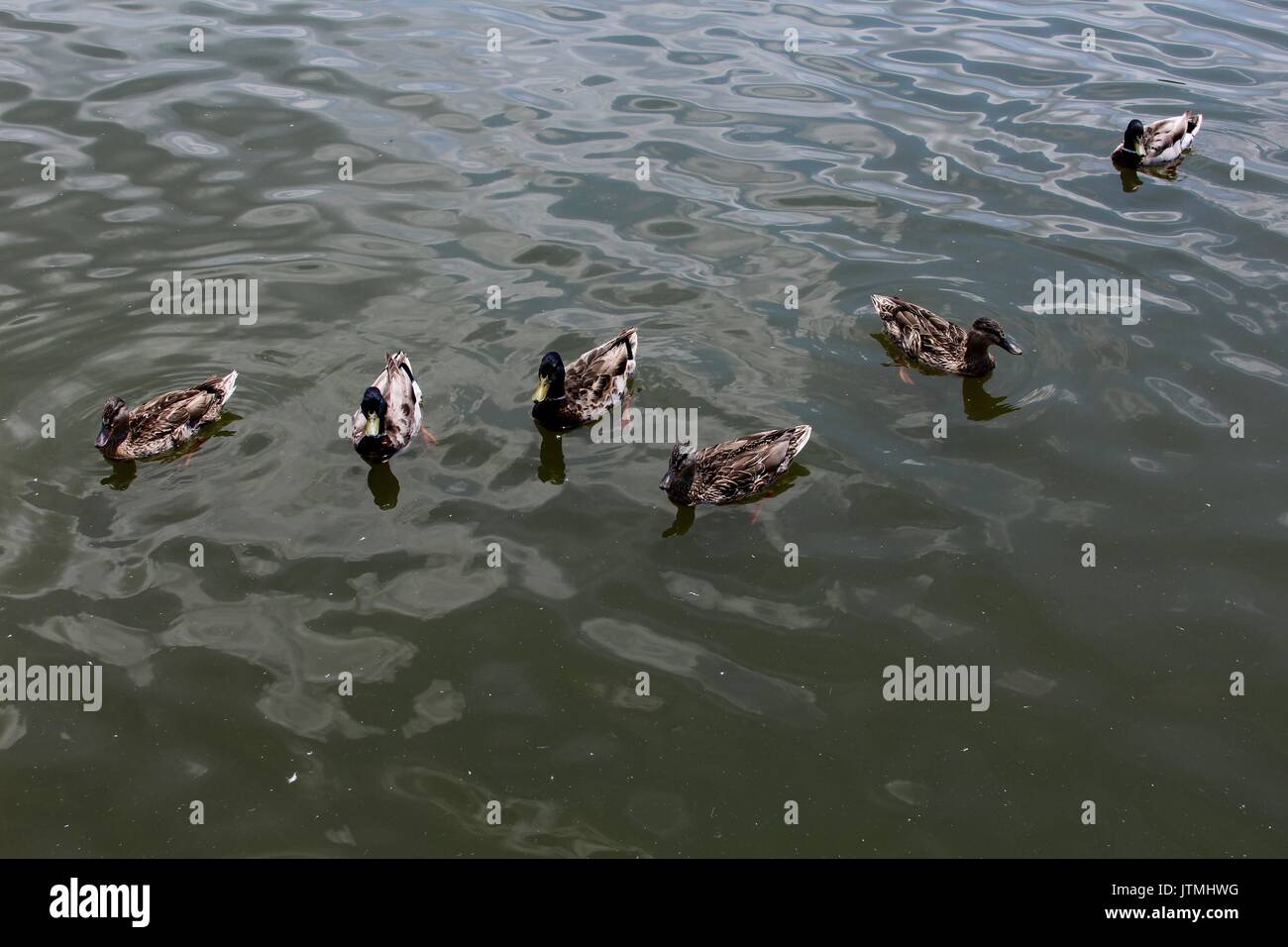 A day in the Hamilton county parks in Ohio Stock Photo - Alamy